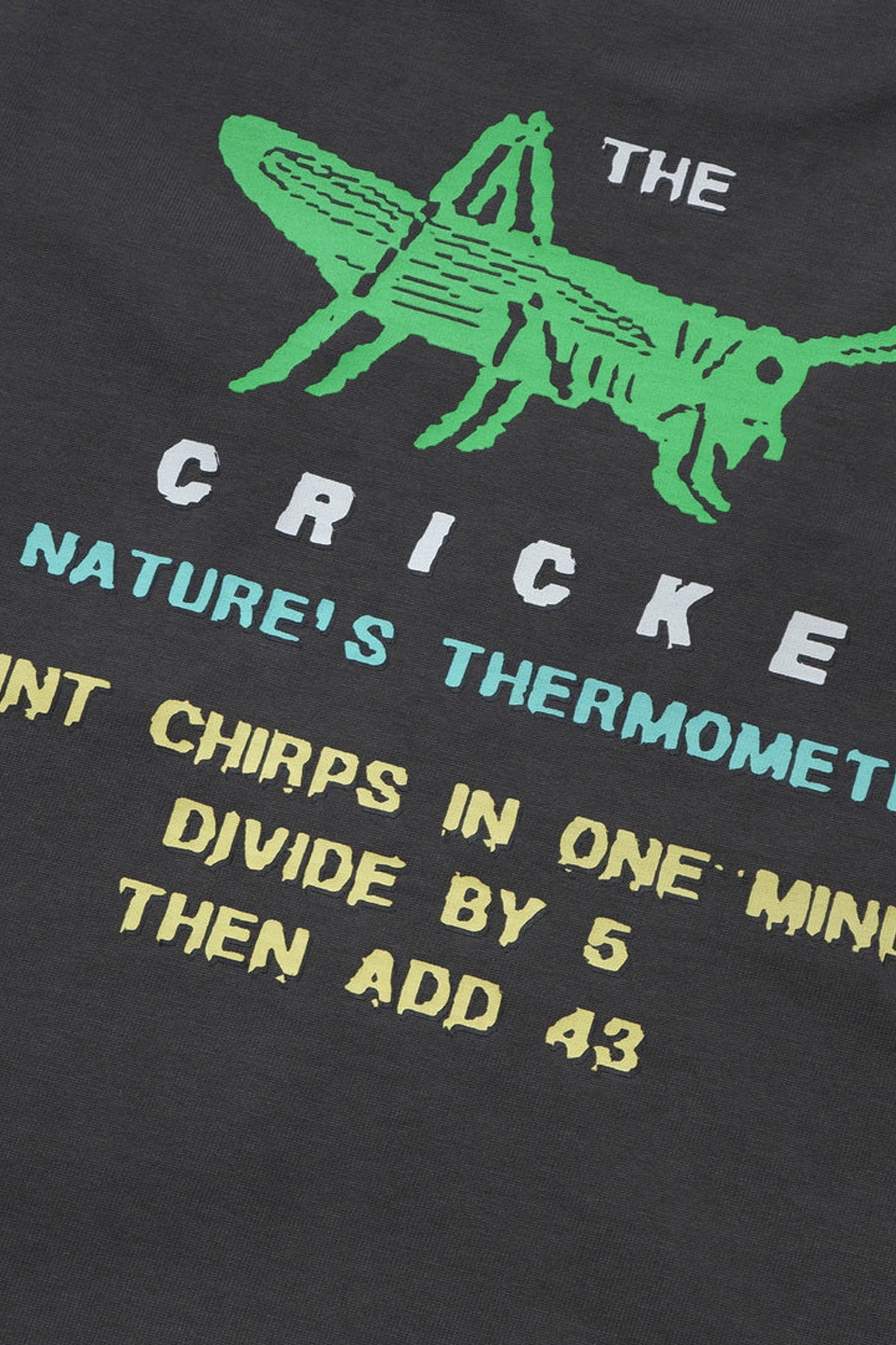 Cricket Heavy Pocket Tee | HOMEBRED