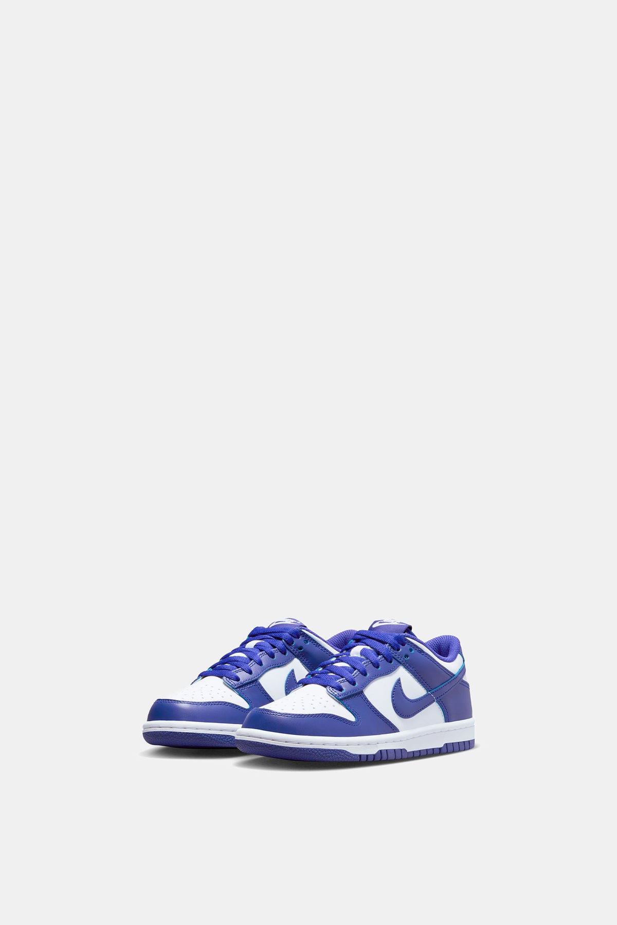 Nike Dunk Low (GS) | HOMEBRED